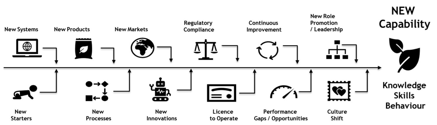 Get Fit for the Future: Set Up Your L&D Team to Succeed in 2023 ...